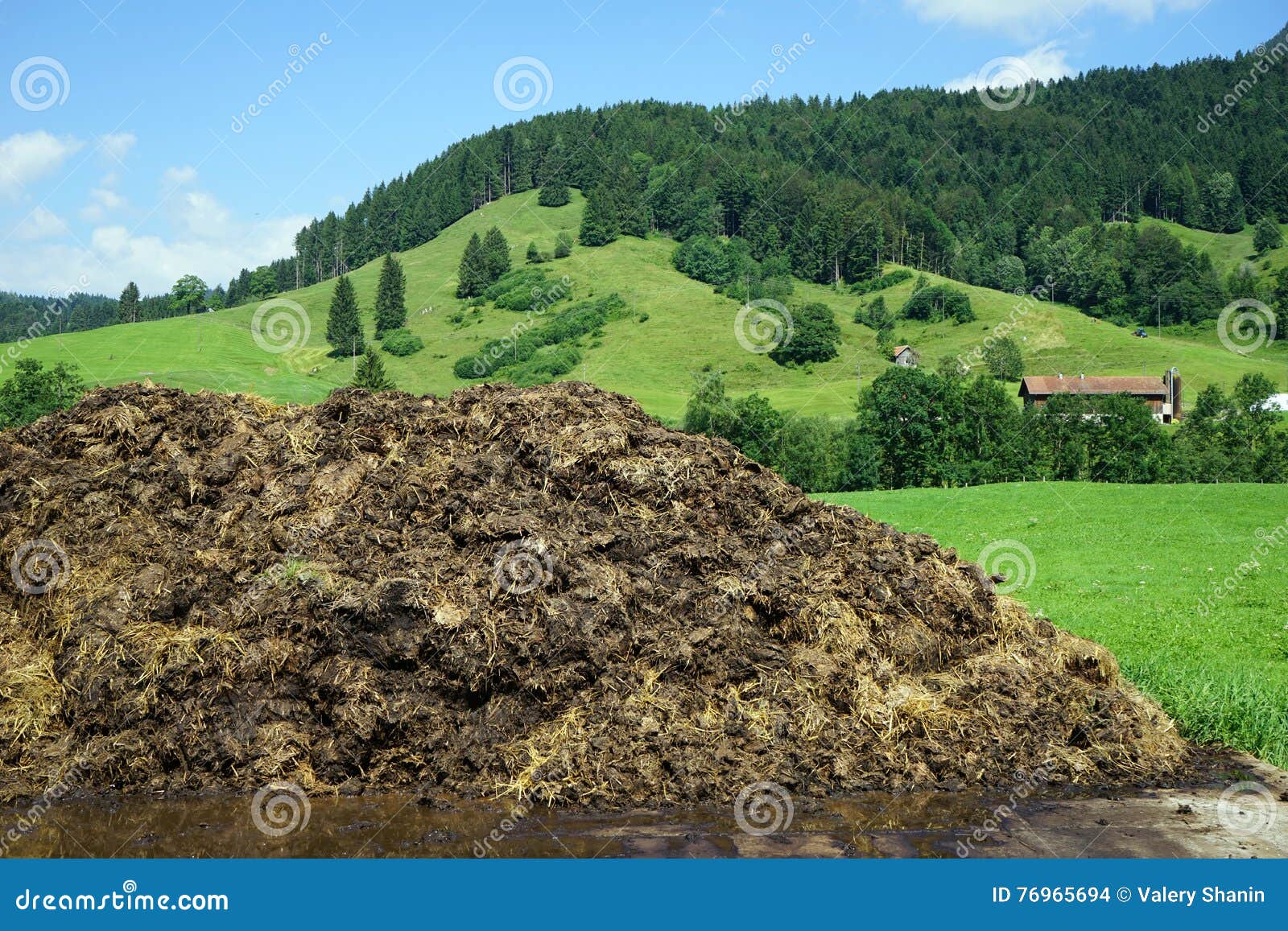 Heap of manure stock photo. Image of manure, house, pasture - 76965694