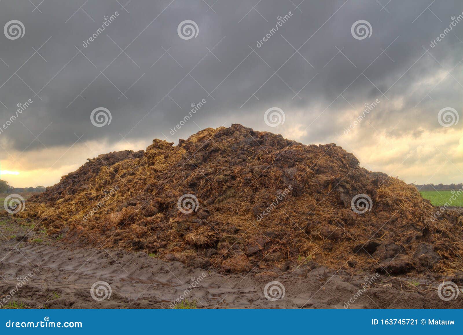 Heap of manure stock image. Image of fertiliser, fertilize - 163745721