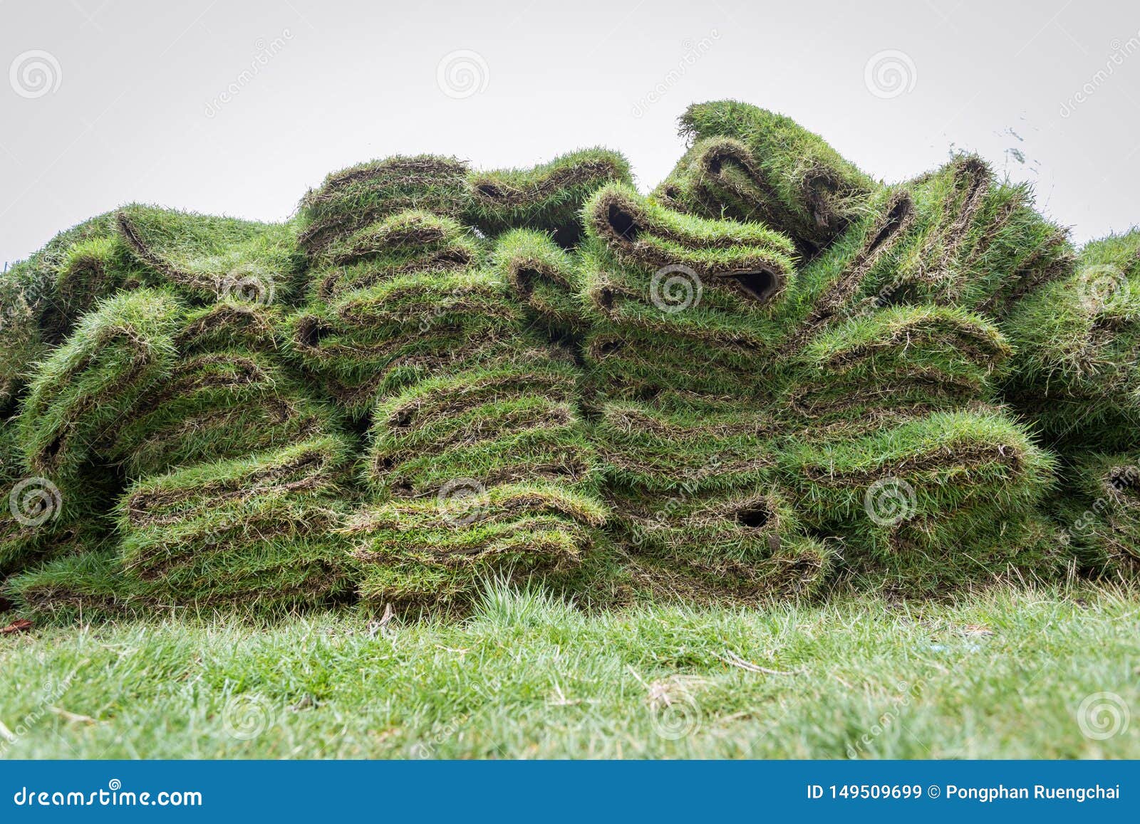 Heap of Natural Grass Turfs Stock Image - Image of natural, yard: 149509699