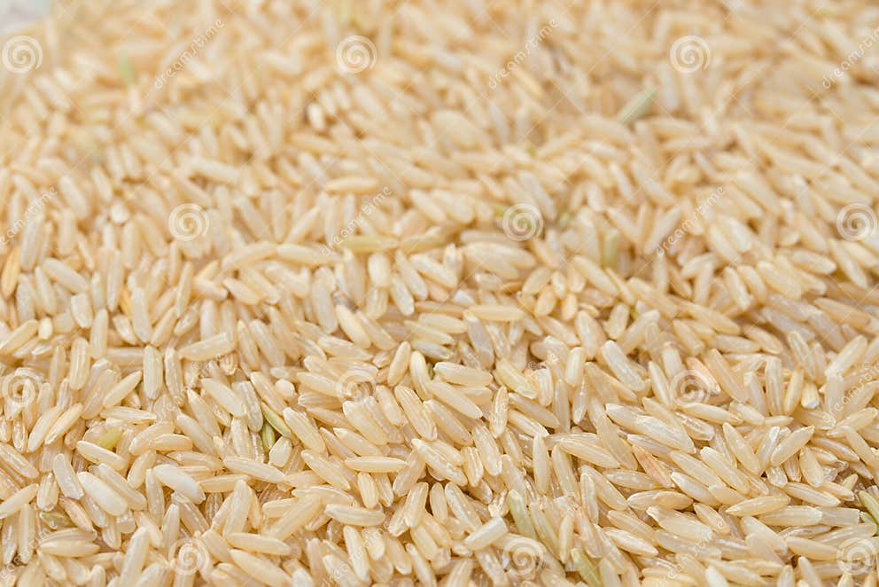 Heap of Natural Whole Rice Macro Stock Image - Image of grains, dietary ...