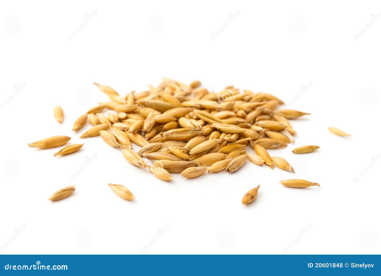 Heap of oat grains stock photo. Image of background, grains - 20601848
