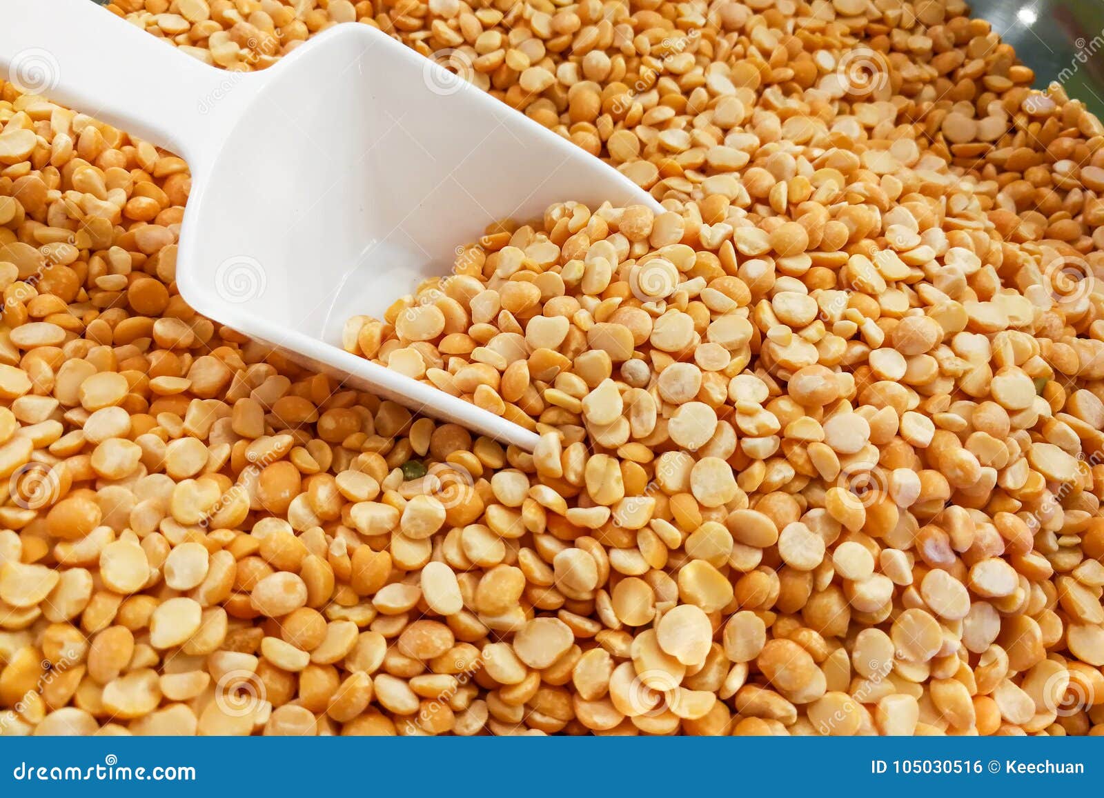 Gram Dhall Stock Photos - Free & Royalty-Free Stock Photos from Dreamstime