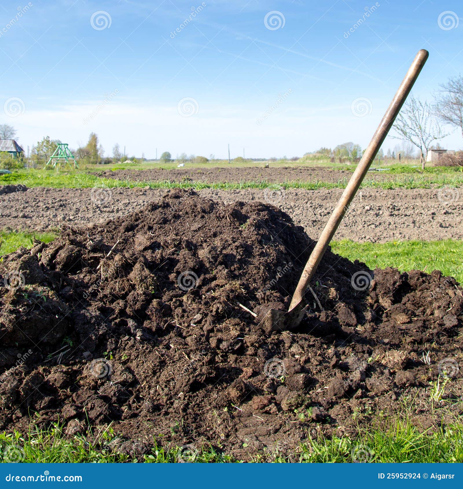 Organic Fertilizer Compost