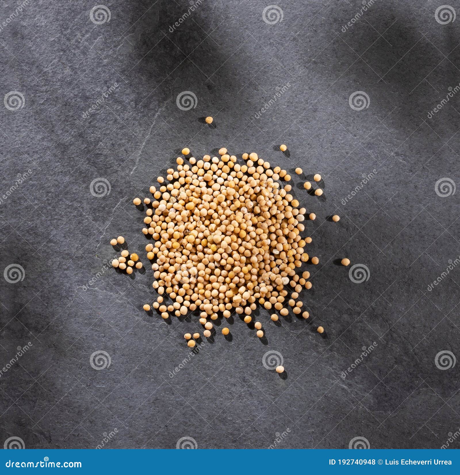 Heap of Organic Mustard Seeds - Sinapis Alba Stock Photo - Image of ...