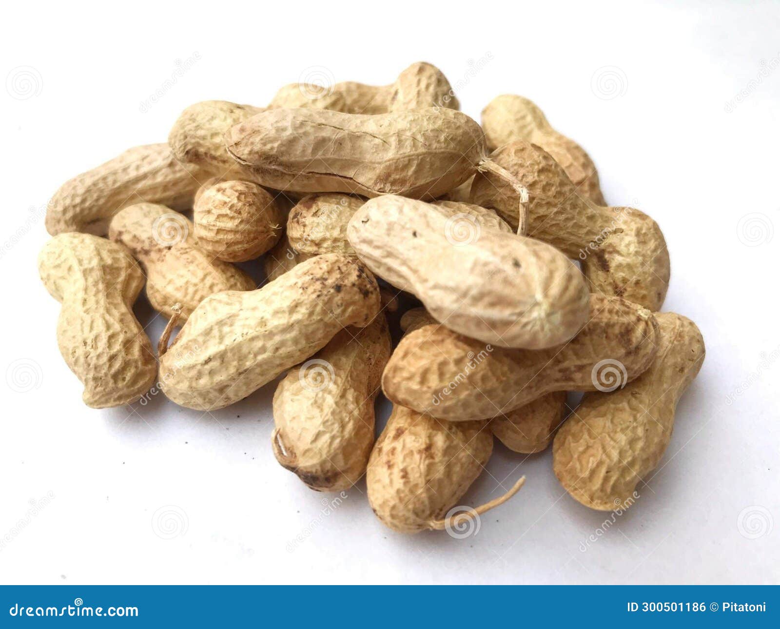 Peanut stock photo. Image of food, nuts, delicious, ground - 300501186