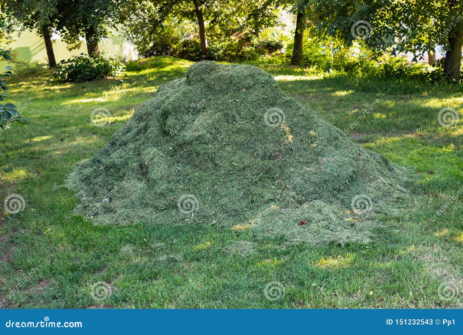 Heap Pile of Freshly Cut Grass Lawn in Park Stock Image - Image of ...