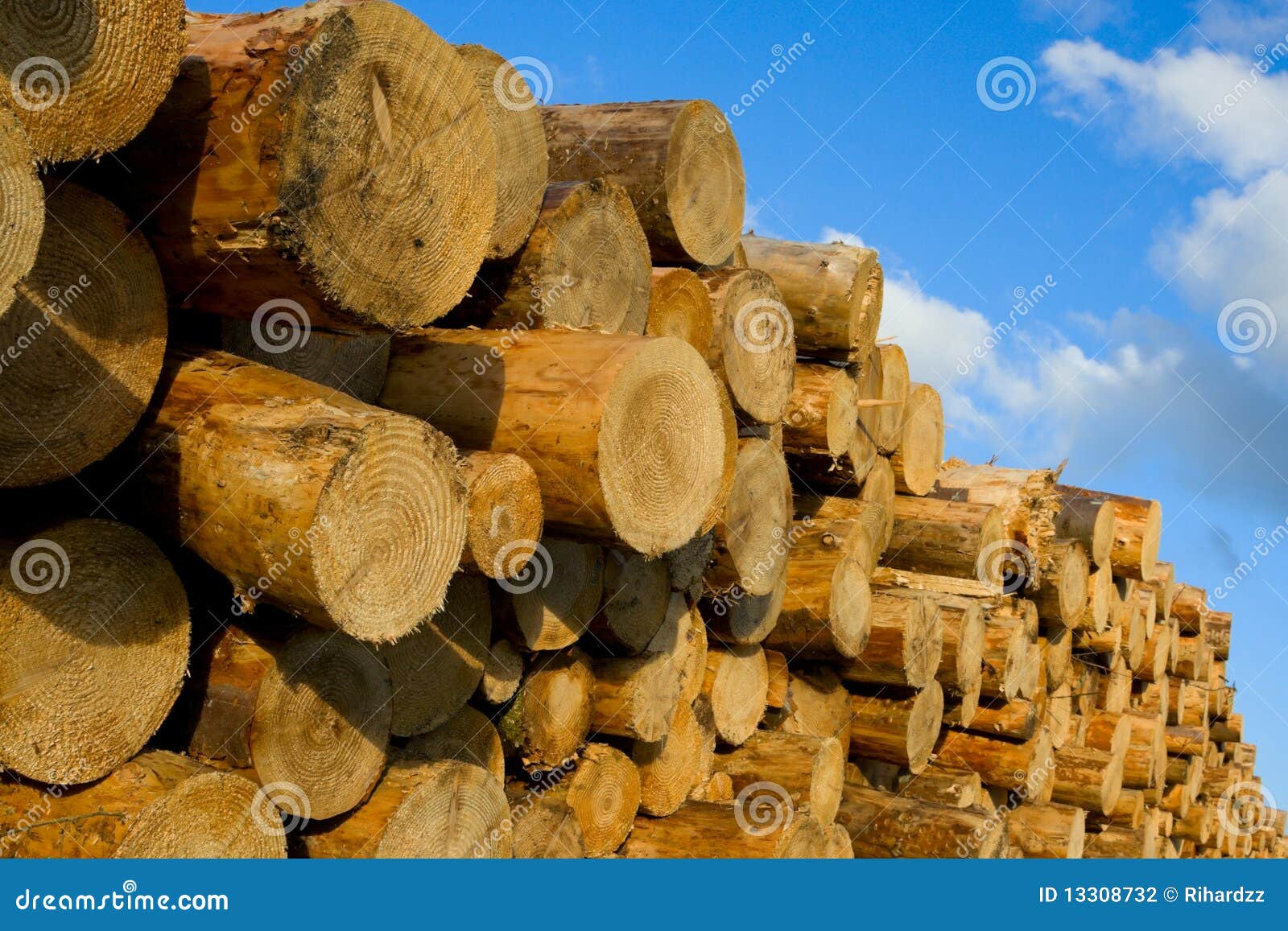 Heap of pine wood logs stock photo. Image of woods, outdoors - 13308732