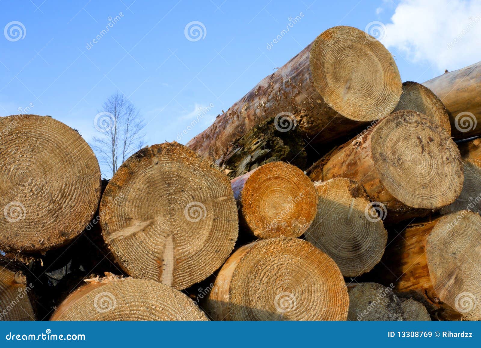 Heap of pine wood logs stock image. Image of material - 13308769