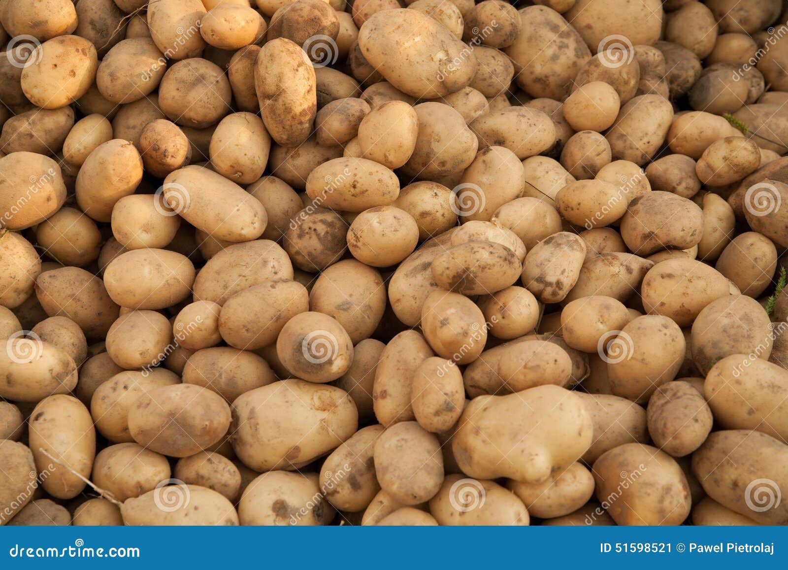 Heap of potatoes stock image. Image of russet, tasty - 51598521