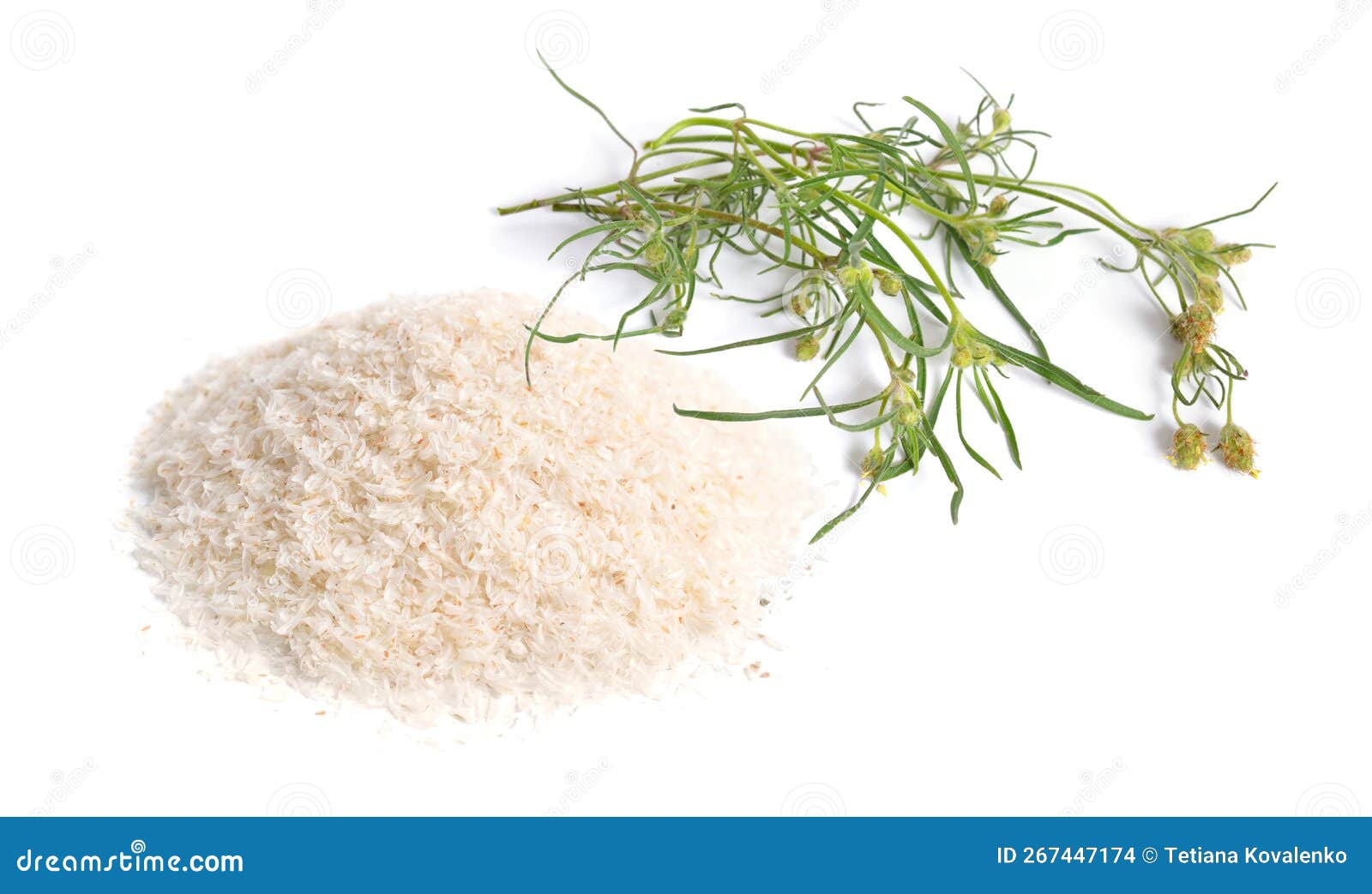 Heap Of Psyllium Husk Also Called Isabgol In Glass Jar On White Table ...