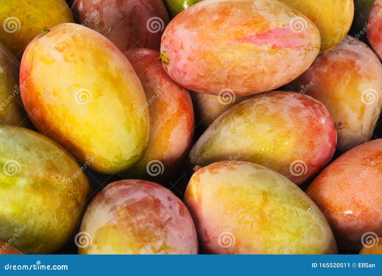 Heap of Raw Ripe Fresh Mangoes Fruit, Top View Stock Image - Image of ...