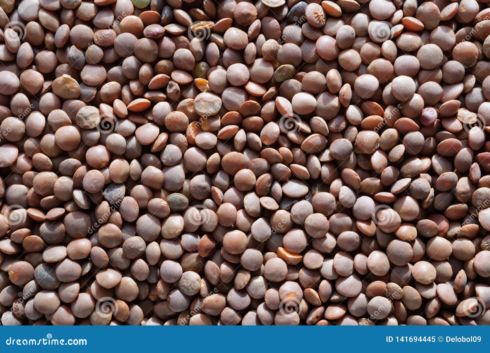 Heap of Red Lentil Top View, Background Stock Image - Image of close ...