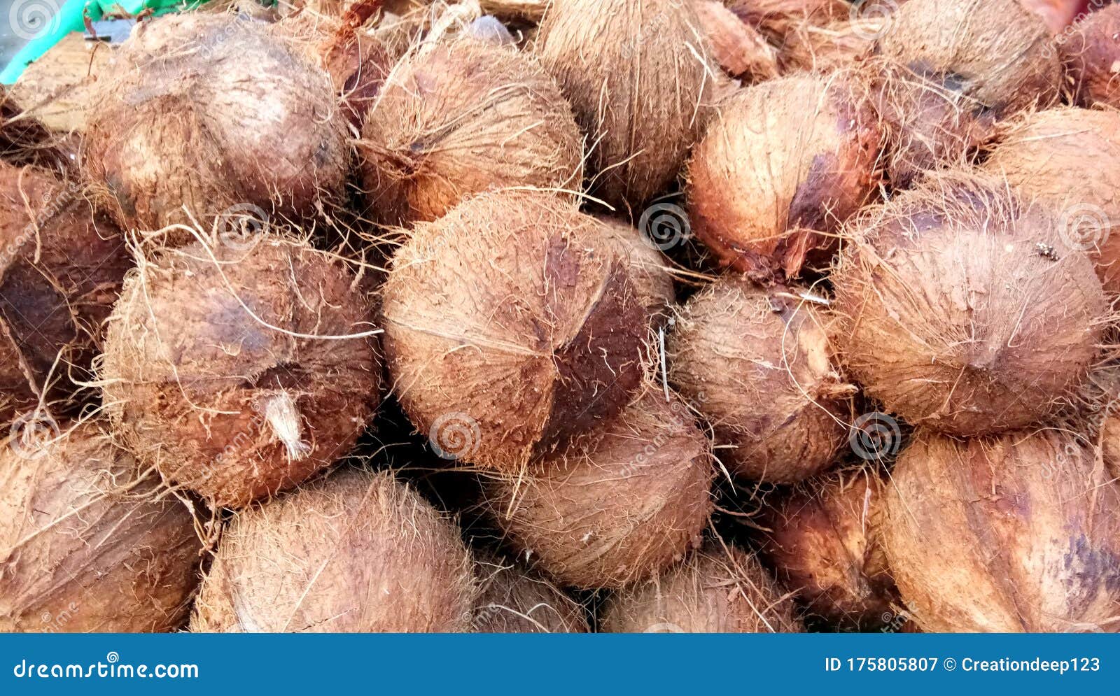 A Heap of Ripe Coconuts Stacked Together Stock Image - Image of macro ...