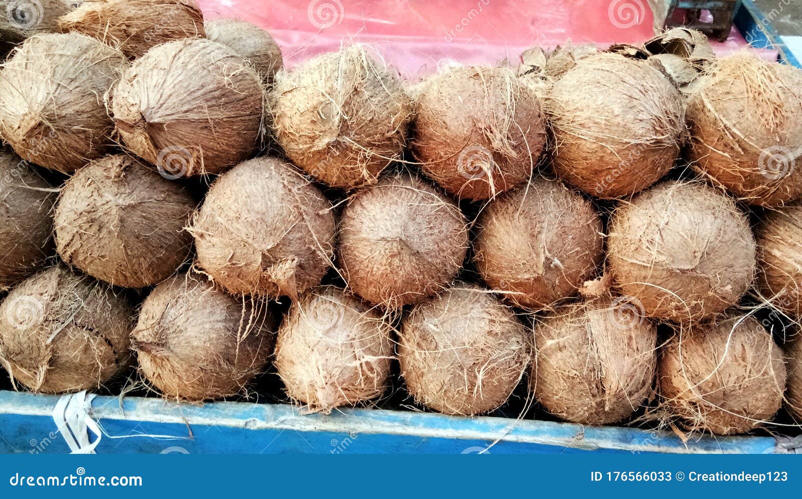 A Heap of Ripe Coconuts Stacked Together Stock Image - Image of milk ...