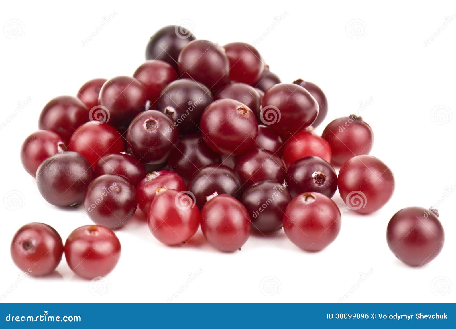 Ripe cranberries stock photo. Image of food, nature, heap - 30099896