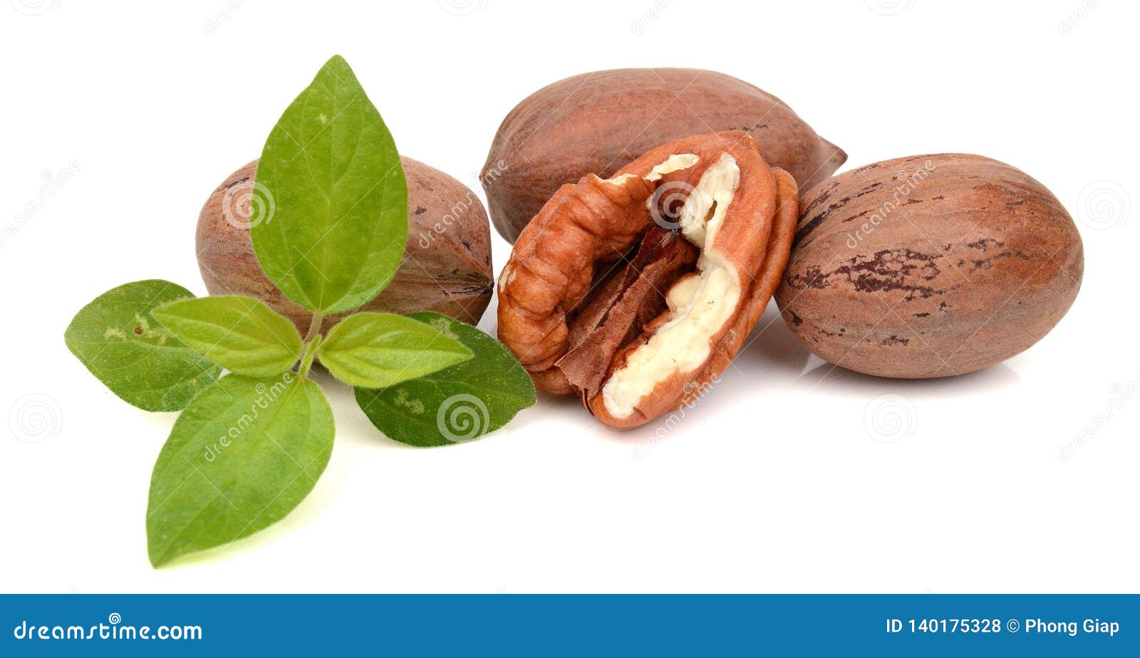 Ripe shelled pecan nuts. stock photo. Image of croquant - 140175328