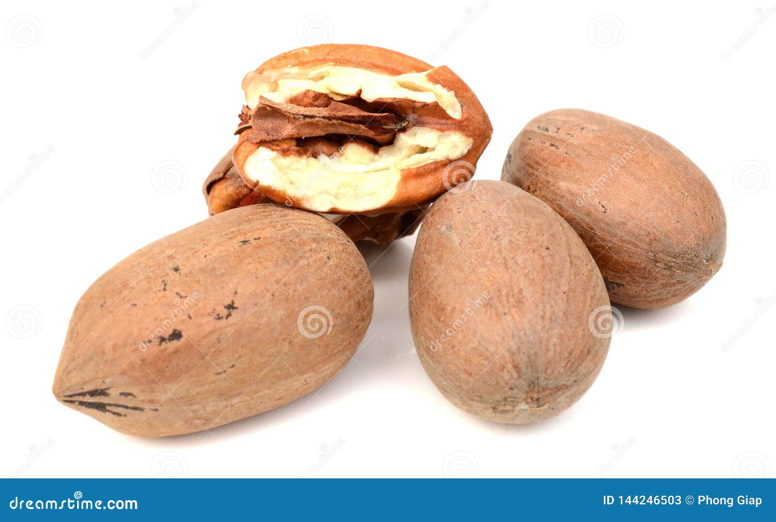 Heap of Ripe Shelled Pecan Nuts. Stock Image - Image of natural, pecan ...