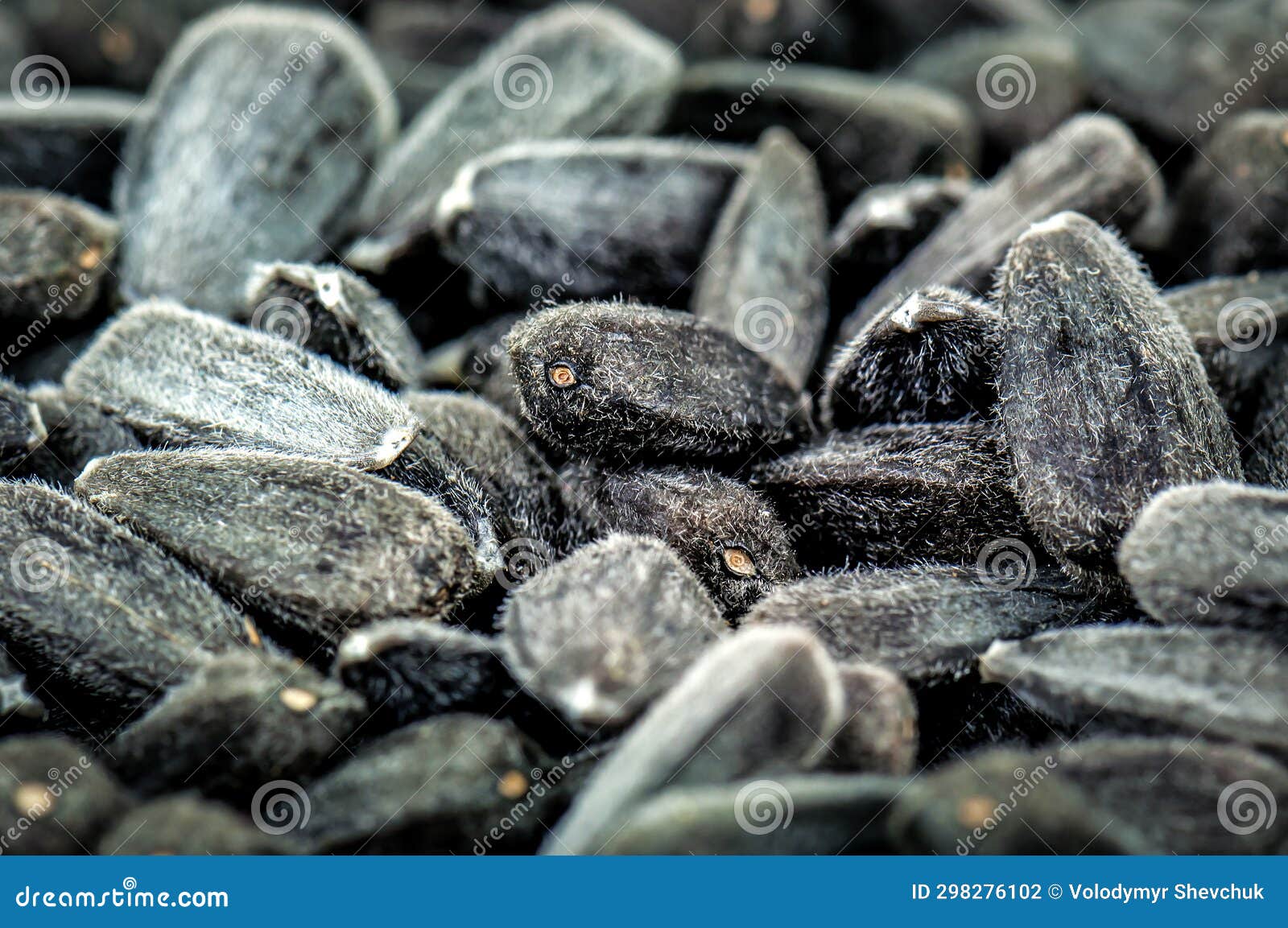Heap of Ripe Sunflower Seeds Texture Stock Photo - Image of autumn ...