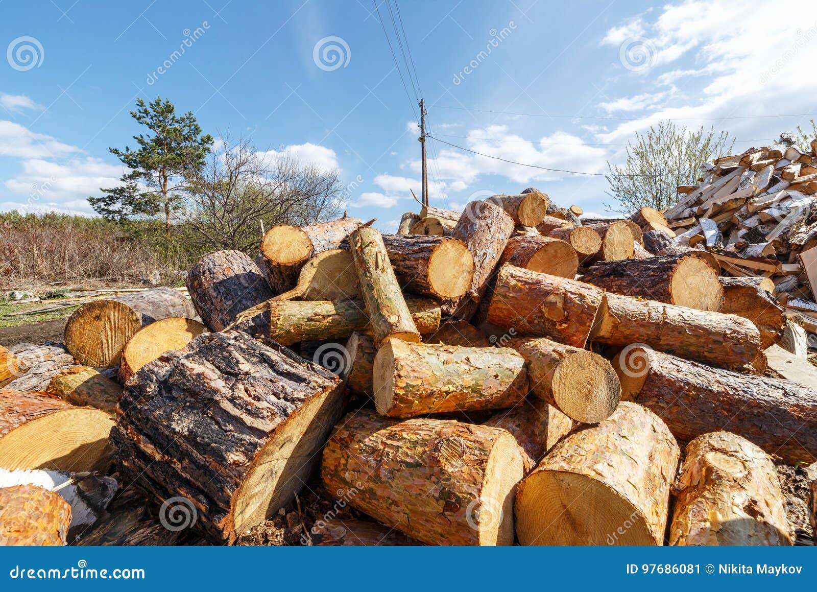 Heap of round pine logs stock image. Image of tree, stack - 97686081