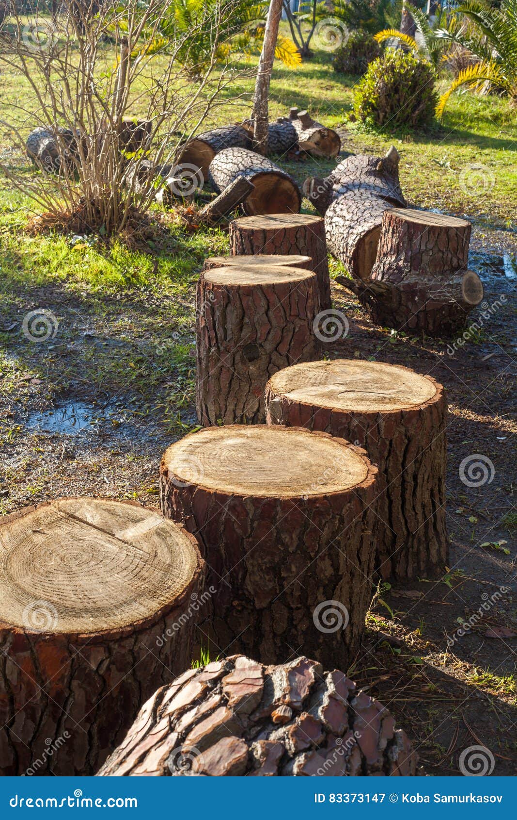 Heap of Sawn Pine Wood Logs with Rough Pine Bark Closeup View Stock ...