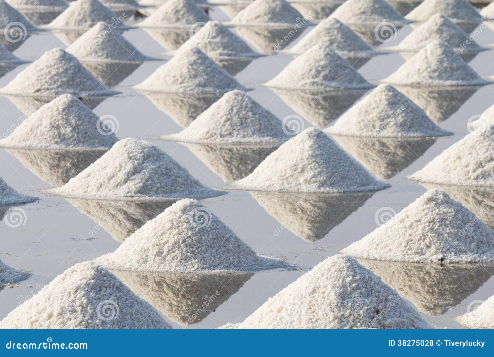Heap of sea salt stock photo. Image of drying, salty - 38275028