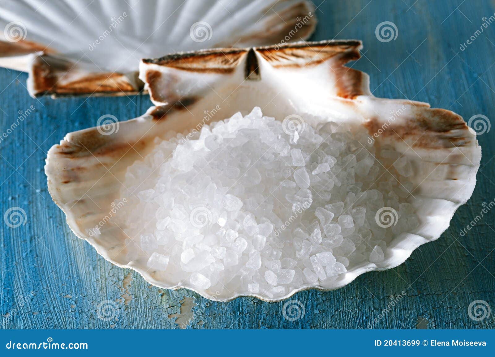 Heap of Sea Salt in a Shellfish on a Blue Stock Image - Image of ...