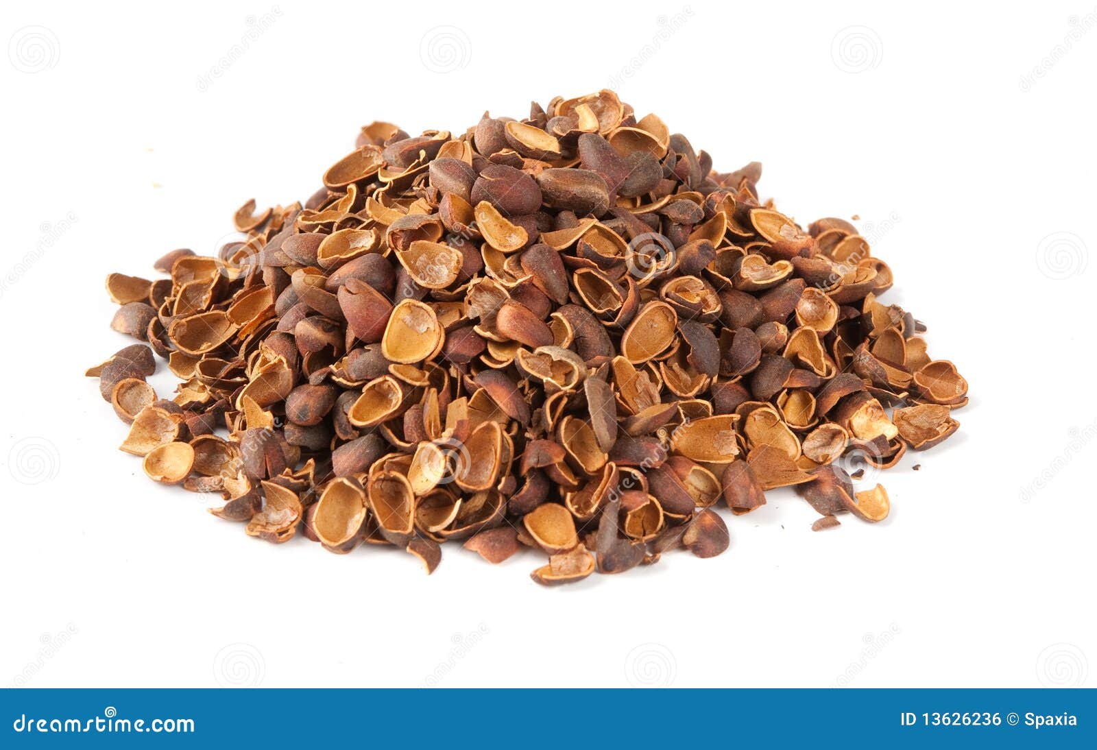 Heap of shell of pine nuts stock photo. Image of seeds - 13626236