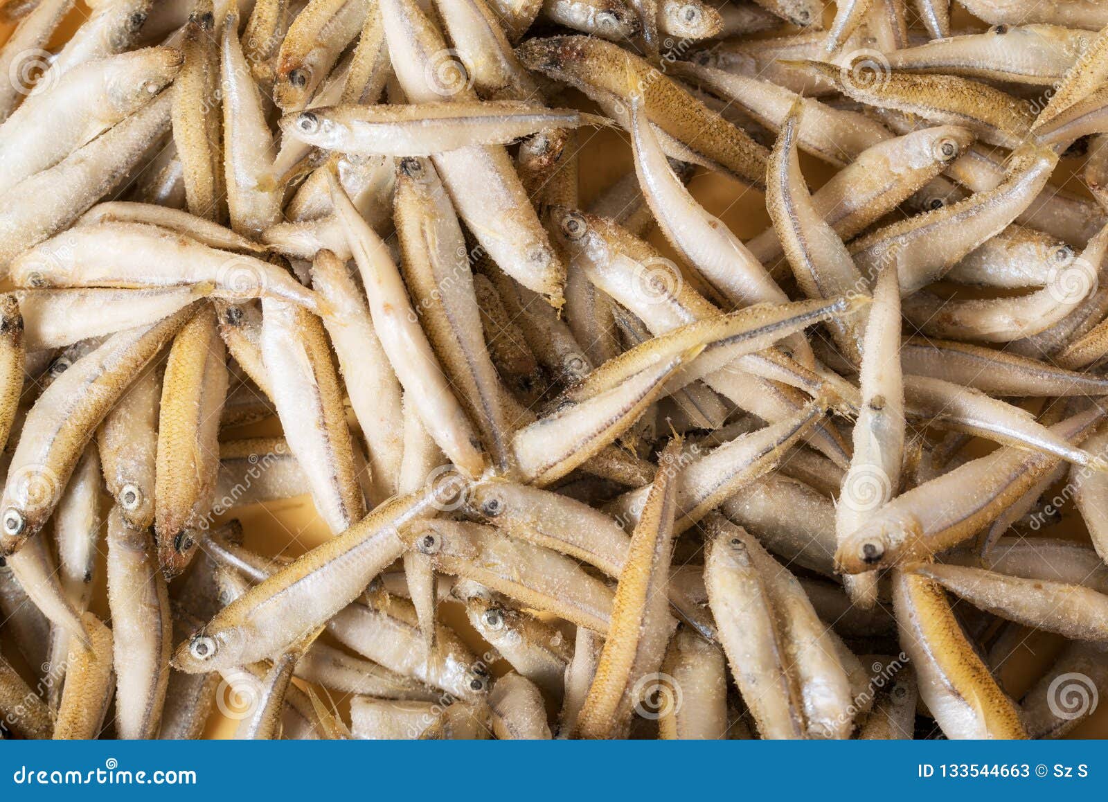 Heap of Small Aquadella Fish Stock Image - Image of animal, tropical ...