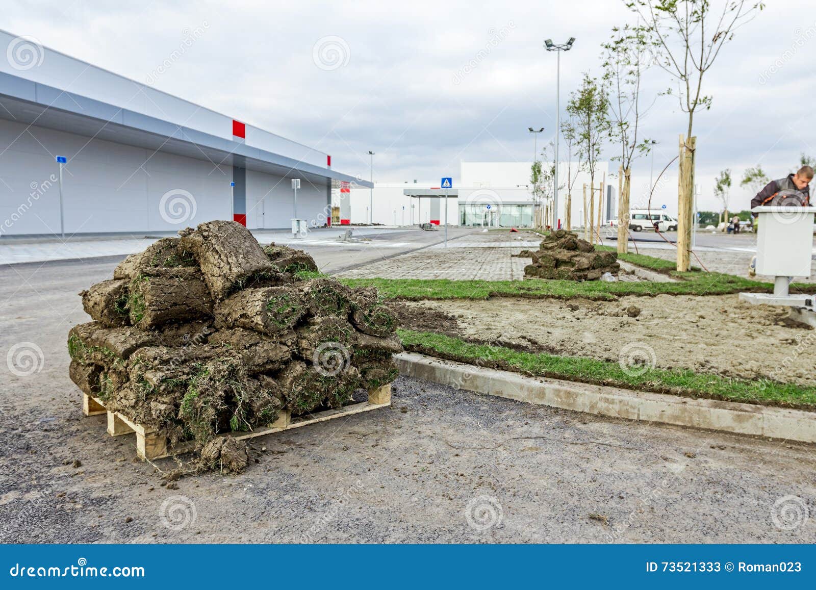 Heap of Sod Rolls for Installing New Lawn, Unrolling Grass Stock Image ...