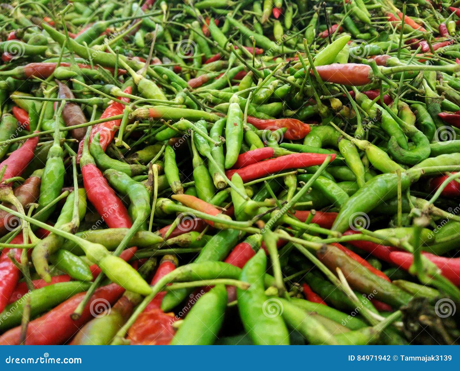 Heap of spicy chilli stock photo. Image of ingredients - 84971942