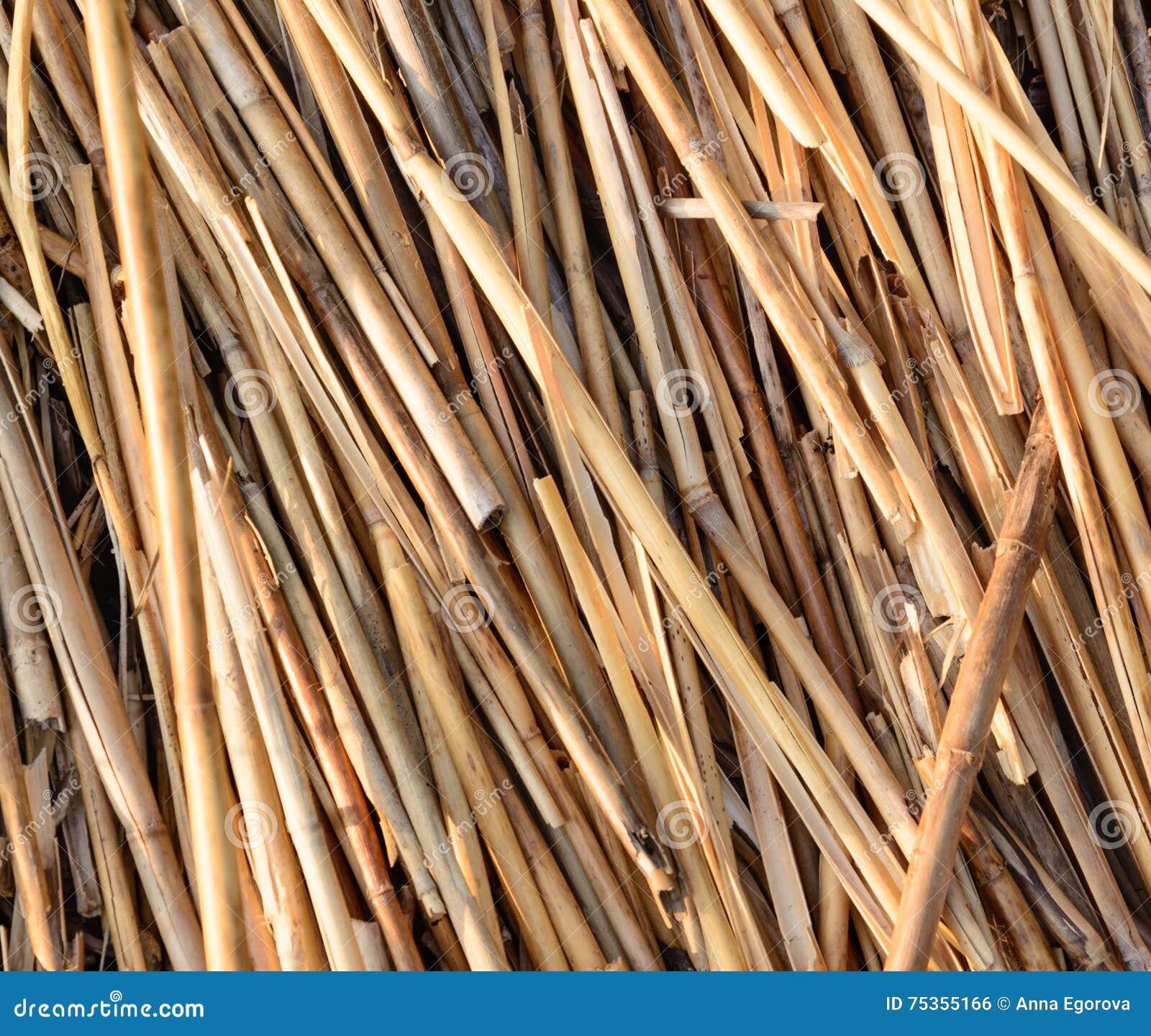 Heap of straw stock photo. Image of feature, abstract - 75355166