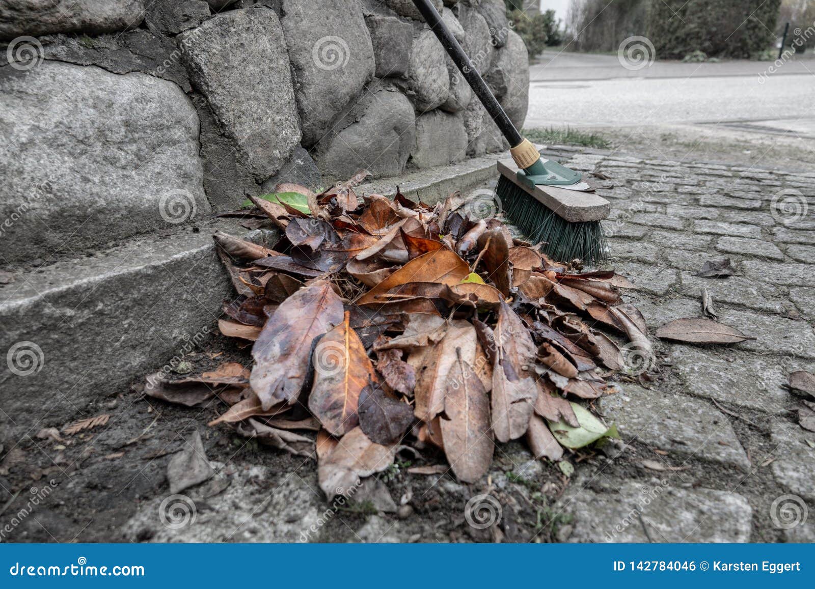 A heap of swept leaves stock photo. Image of landscape - 142784046