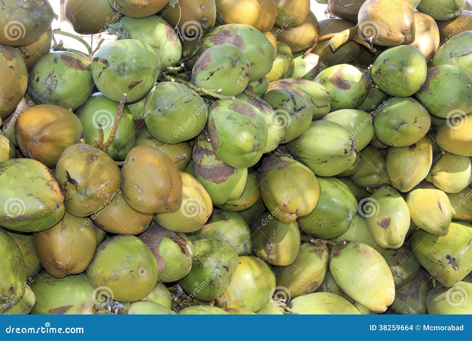 Heap of Tender Coconut stock photo. Image of healing - 38259664