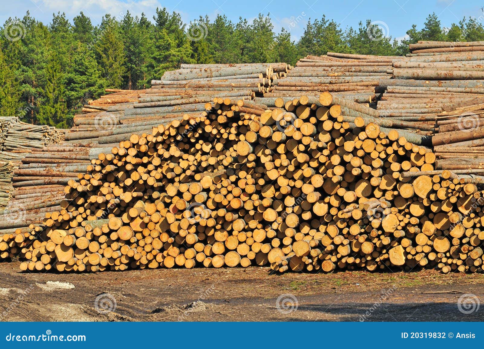 Heap of timber stock photo. Image of heap, pile, tree - 20319832