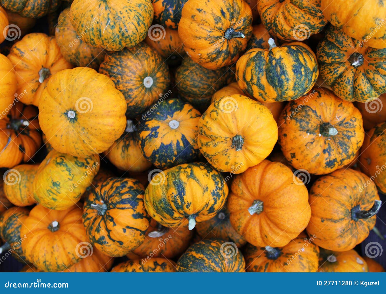 Heap of Tiny Spotted Pumpkins Stock Photo - Image of farming ...