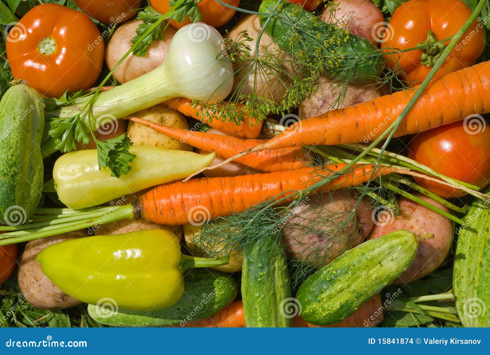Heap of vegetables 5 stock photo. Image of eating, nature - 15841874