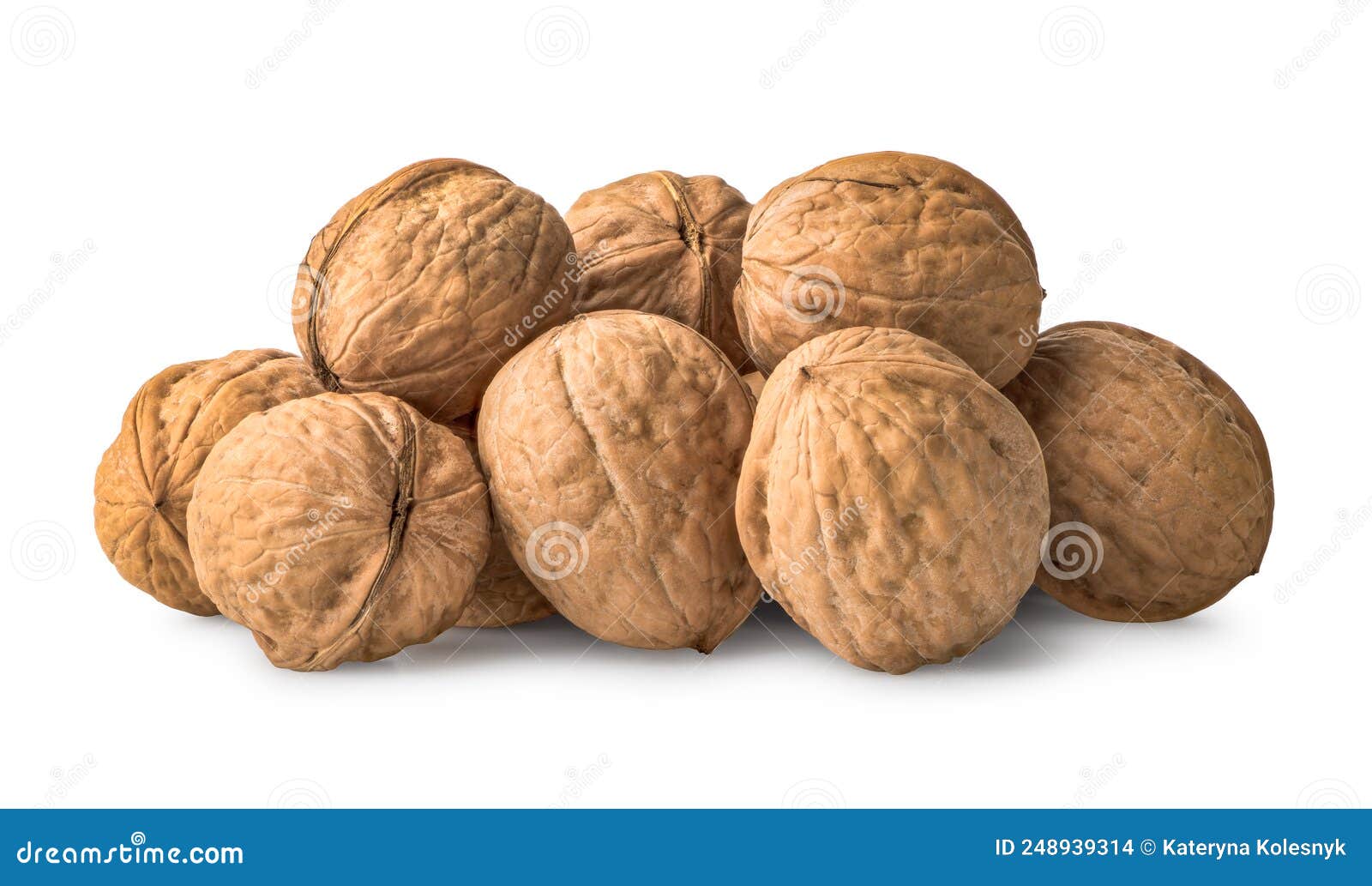 Heap of walnuts stock photo. Image of fresh, isolated - 248939314