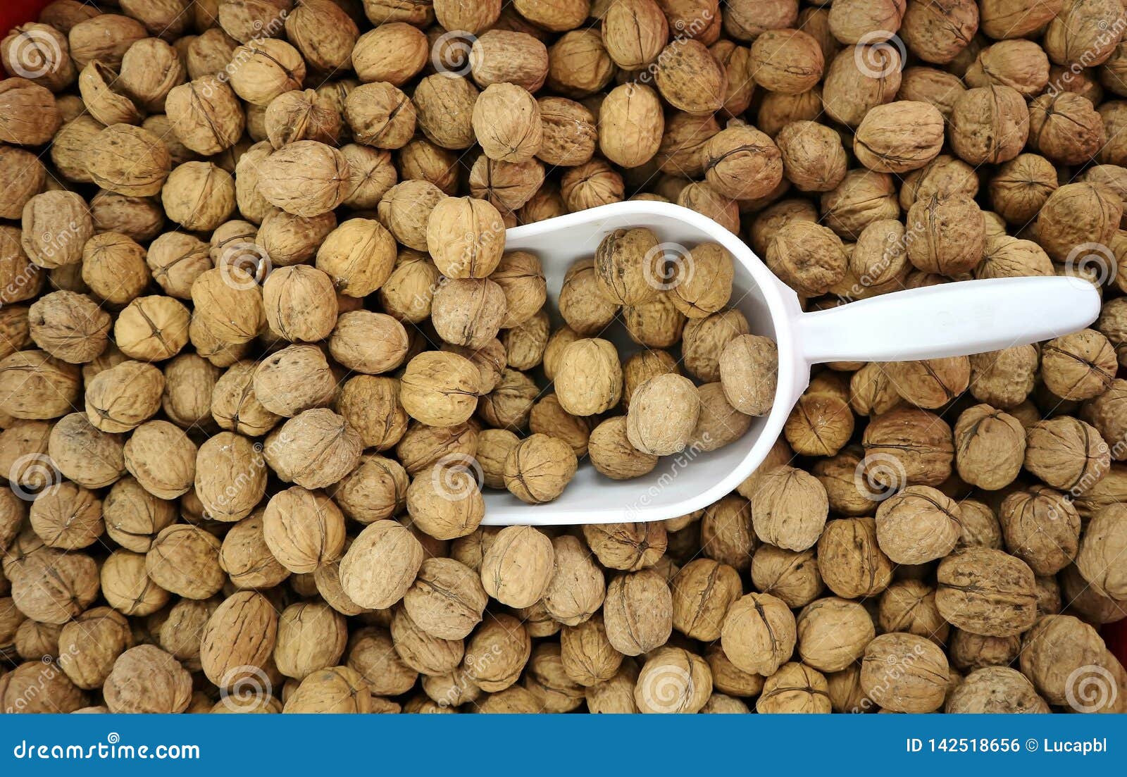 Heap of Walnuts with a Large Plastic Scoop To Pull Them Up, in the Food ...