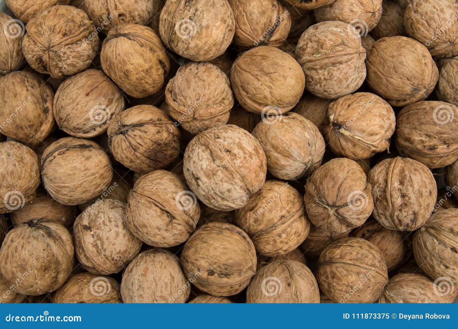 Natural walnut in shell. stock image. Image of cracked - 111873375
