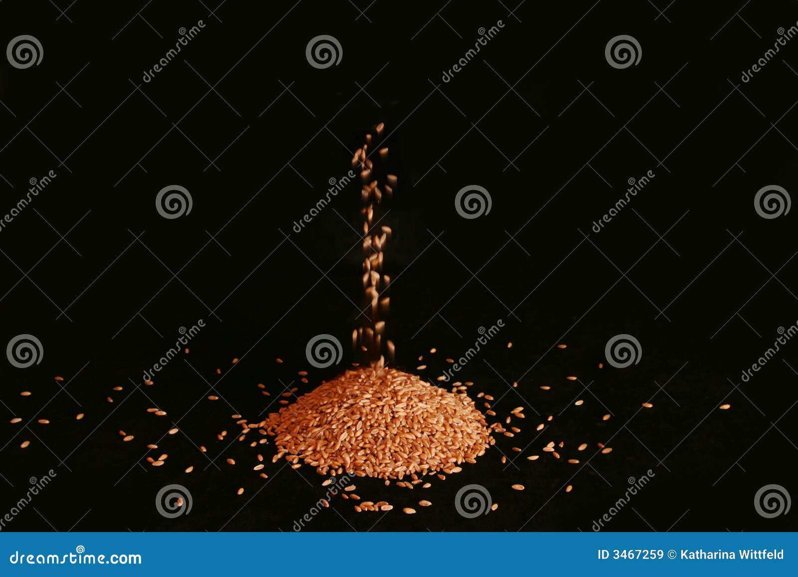 Heap of Wheat Falling Grains Stock Image - Image of fall, harvest: 3467259