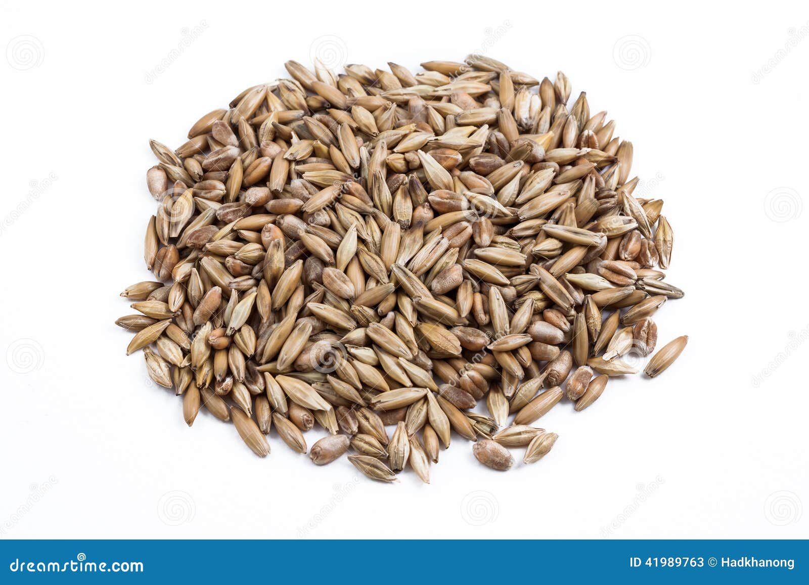 Heap of wheat seed stock image. Image of white, fresh - 41989763