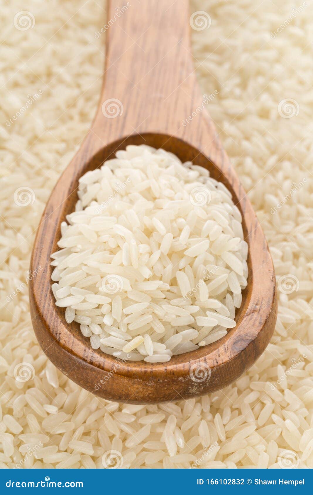 Heap of White Uncooked, Raw Long Grain Rice in Wooden Spoon on Rice ...