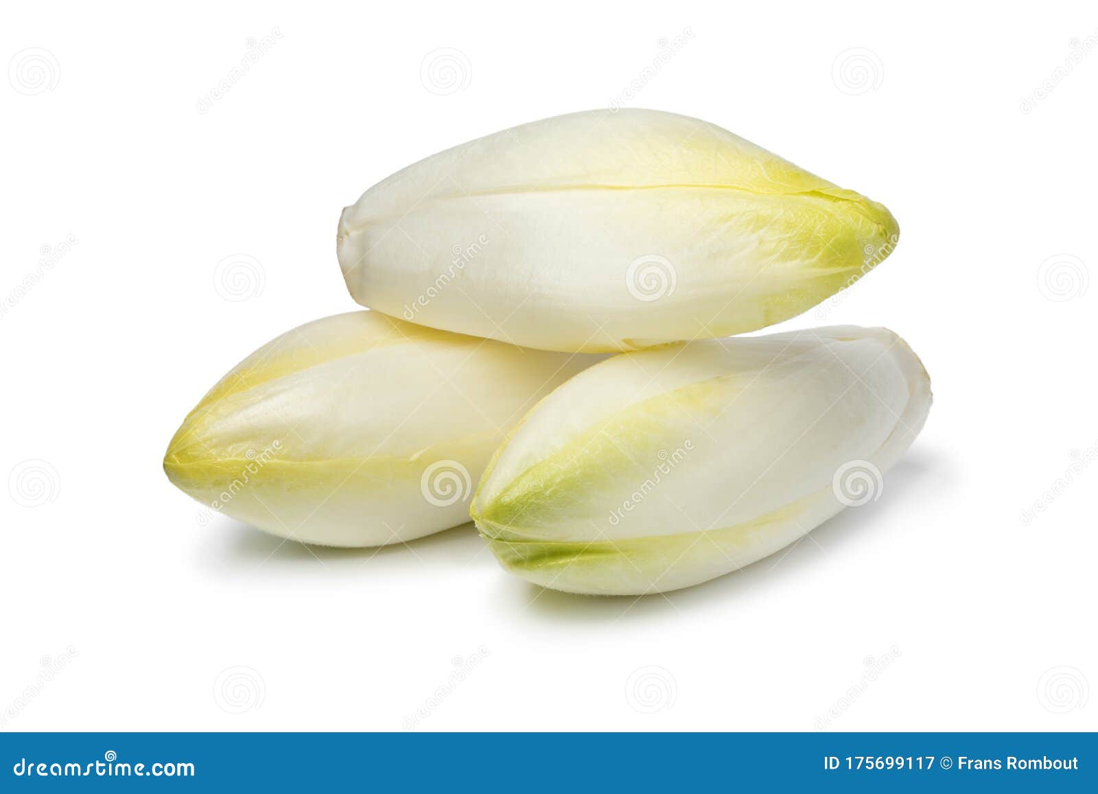 Belgian Endive, Raw Fresh Witloof Chicory Buds, On A Black Background ...