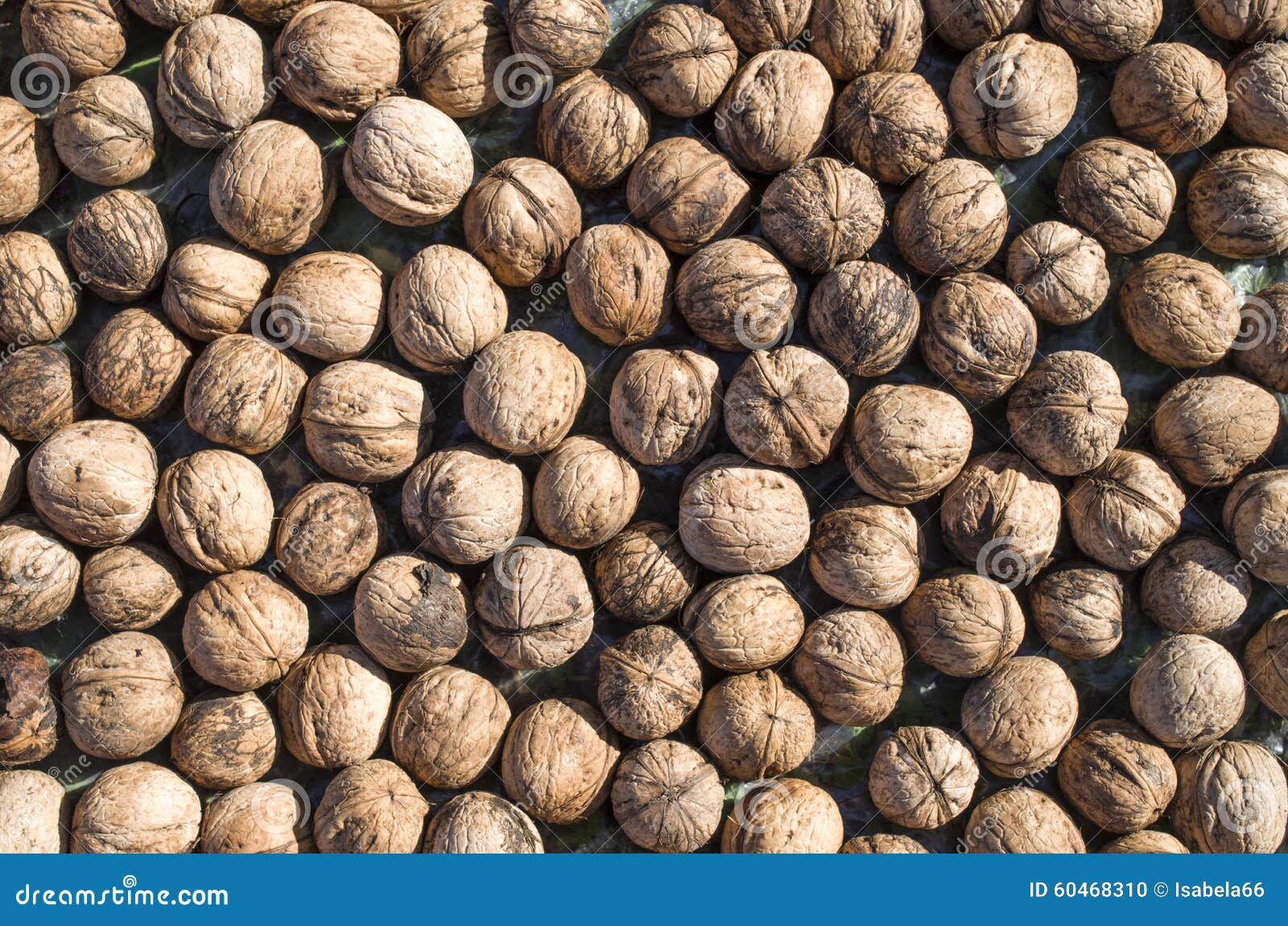Heap of Whole Freshly Picked Walnuts Stock Photo - Image of pattern ...