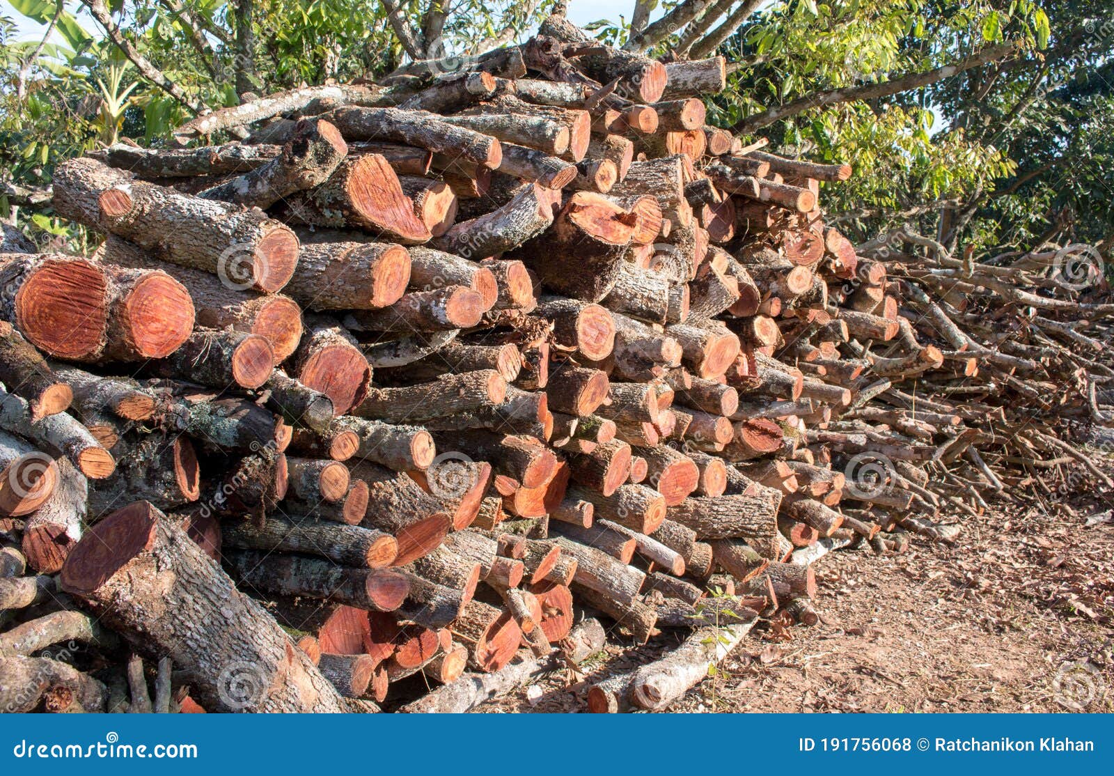 Heap of wood logs stock photo. Image of lumber, natural - 191756068