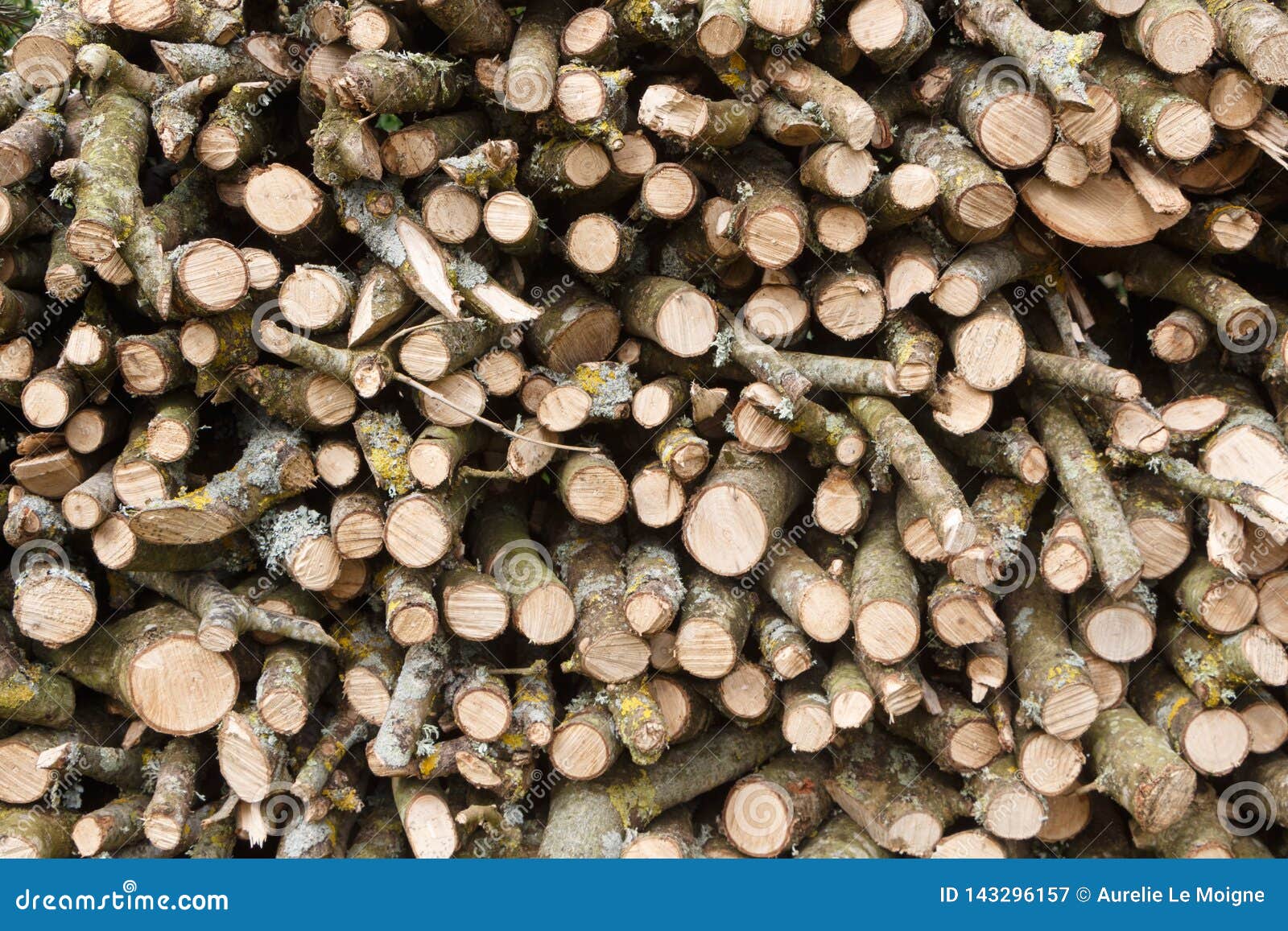 Heap of Wood Logs in a Garden Stock Image - Image of heap, wood: 143296157