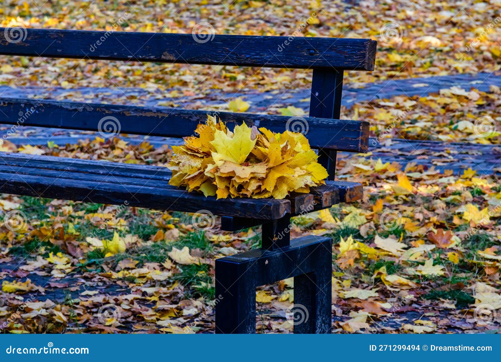 Heap of the Yellow Maple Leaves on Bench. Autumn Concept Stock Photo ...