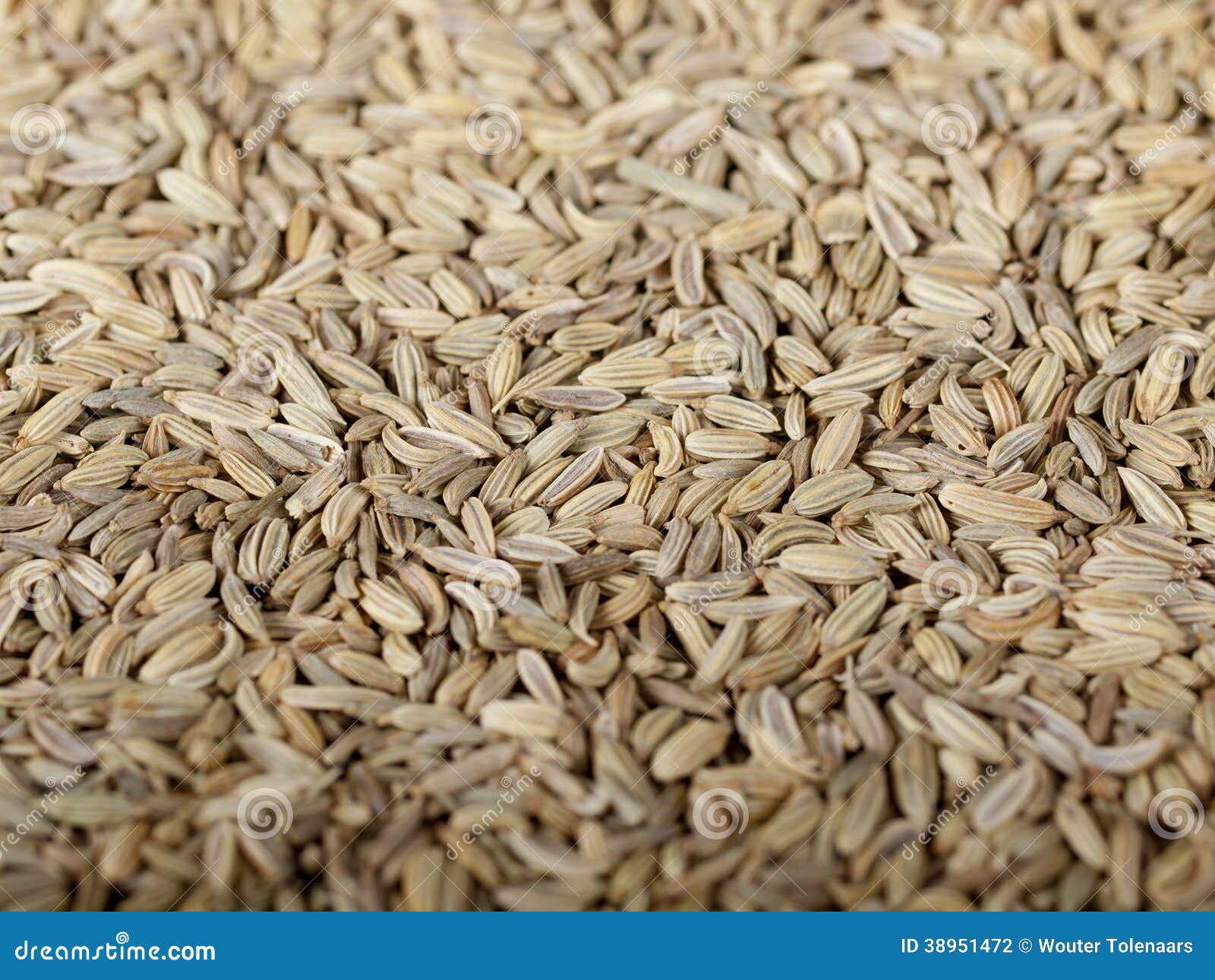 Heaps of Dried Fennel Seeds Stock Photo - Image of aromatic, food: 38951472