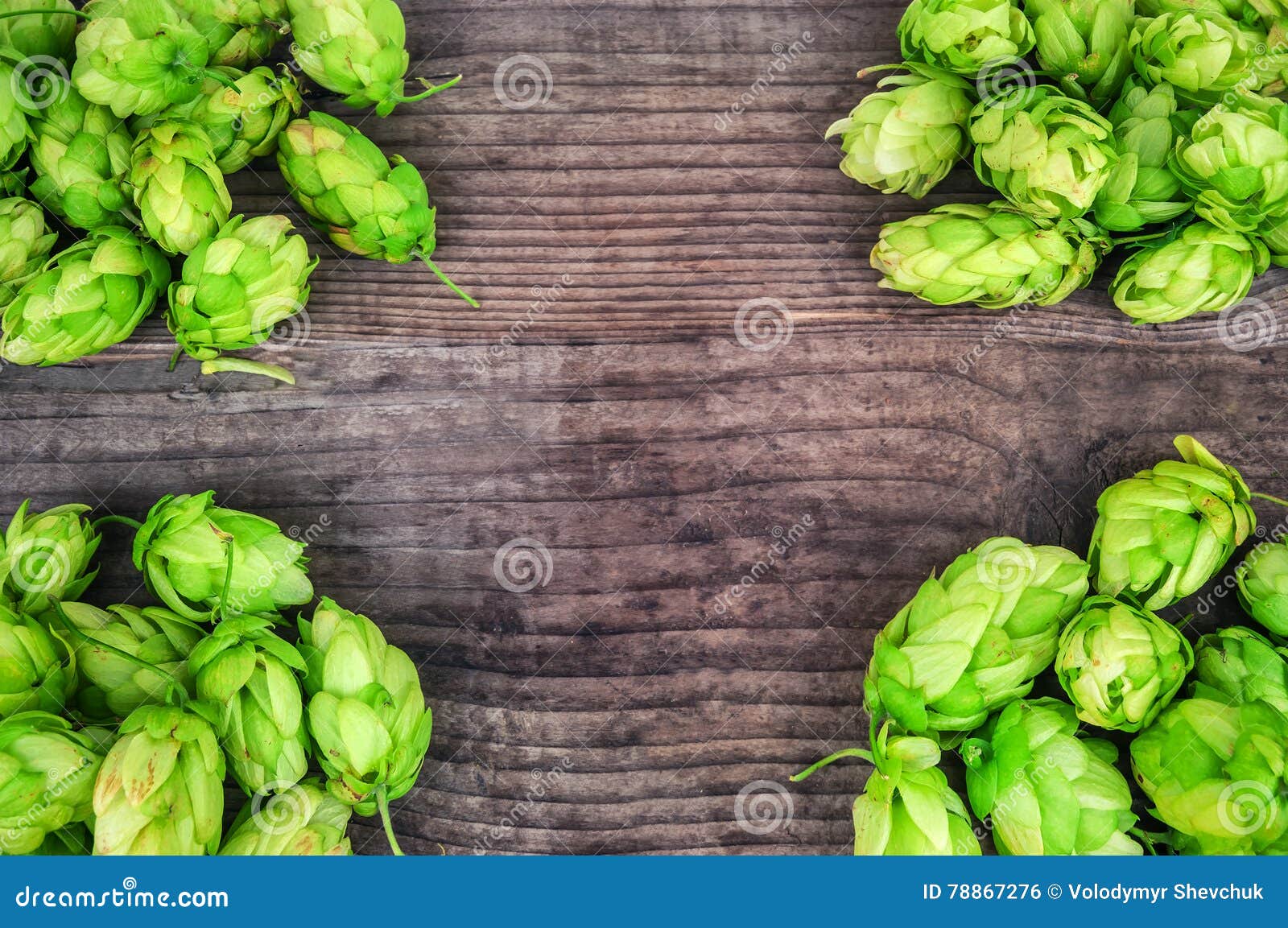 Heaps of lush hops stock photo. Image of beer, cone, texture - 78867276