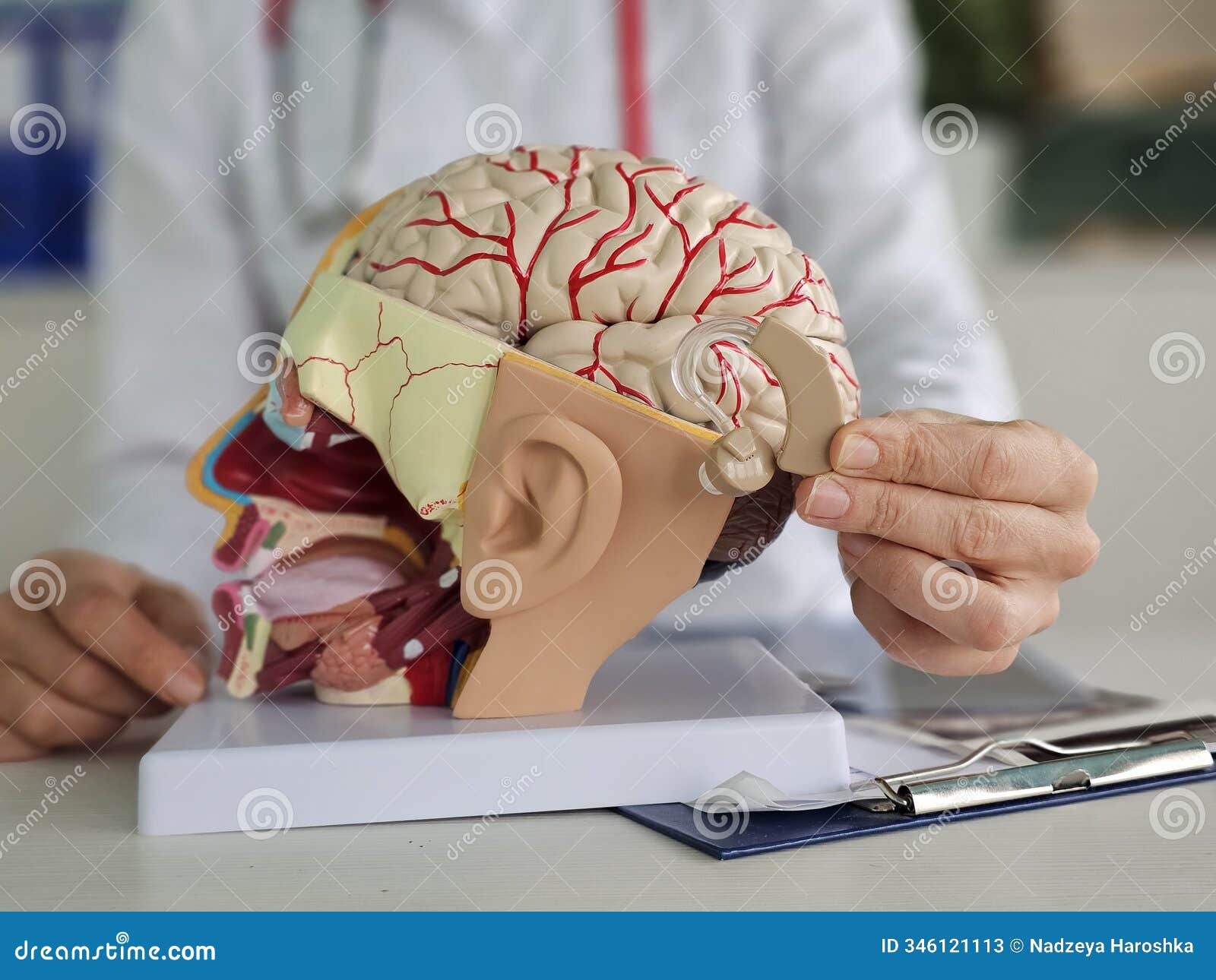 The Hearing Aid Supports the Brain Stock Image - Image of aging ...